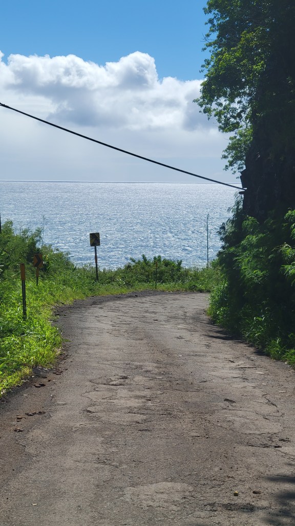 Pi'ilani Highway, the Back Road to Hana - Balabanova All Over
