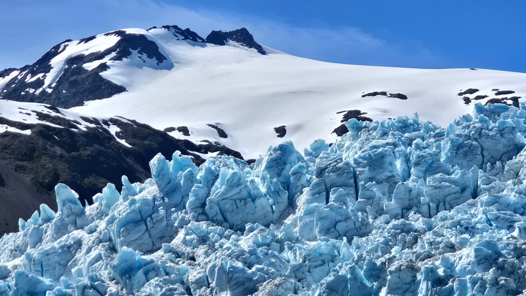 Kenai Fjords Boat Tour - Balabanova All Over